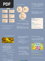 Obrazac P-3, Podaci o Radnom Mjestu Osiguranika | PDF