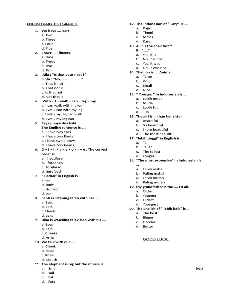 ENGLISH DAILY TEST GRADE 5. new | PDF