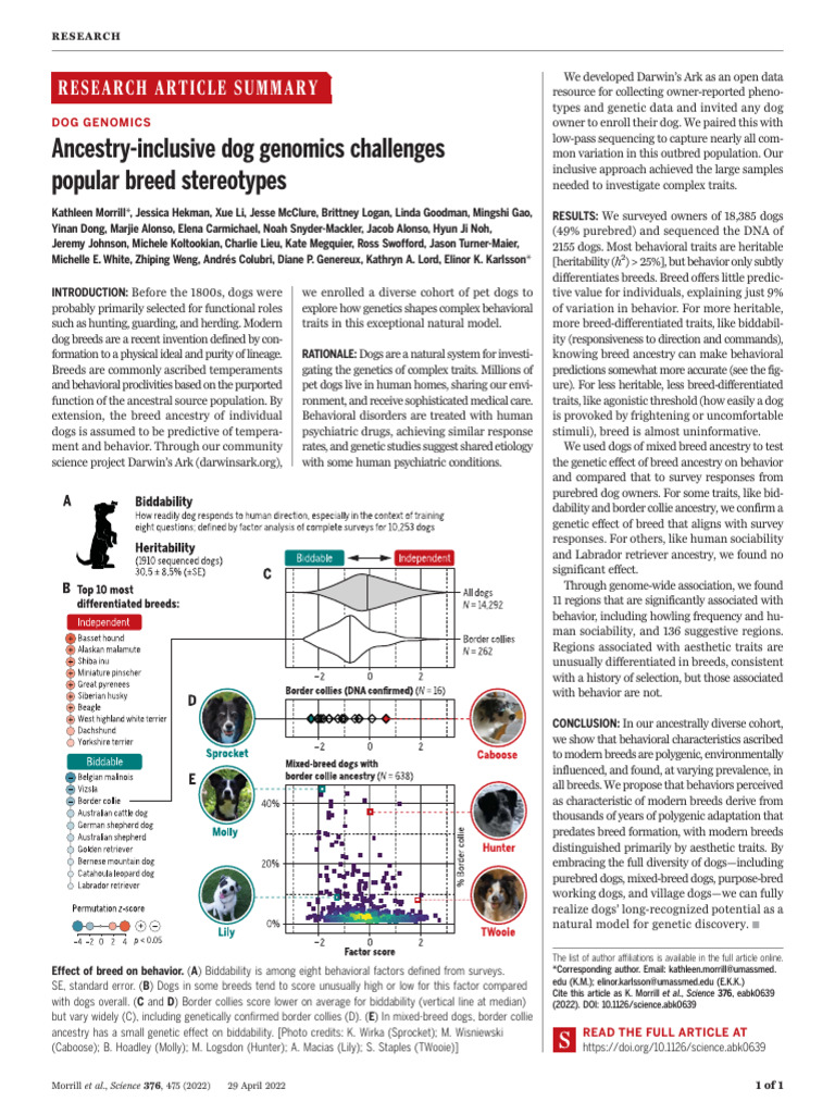 Ancestry-Inclusive Dog Genomics Challenges Popular Breed Stereotypes ...