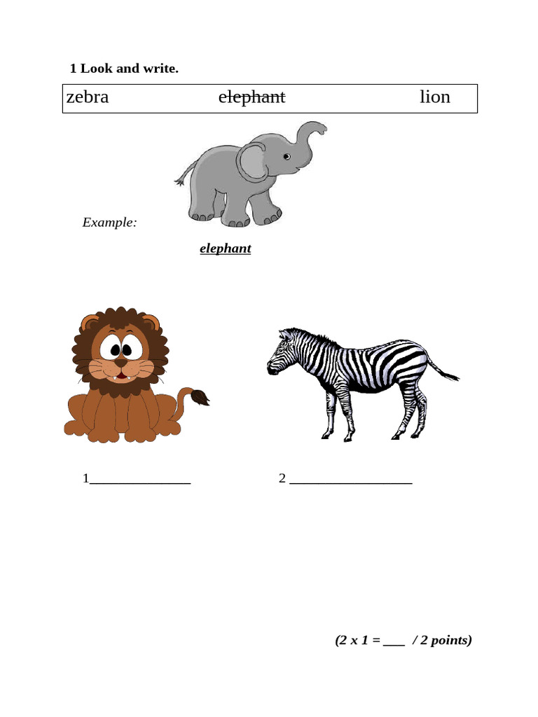 Look and write | PDF