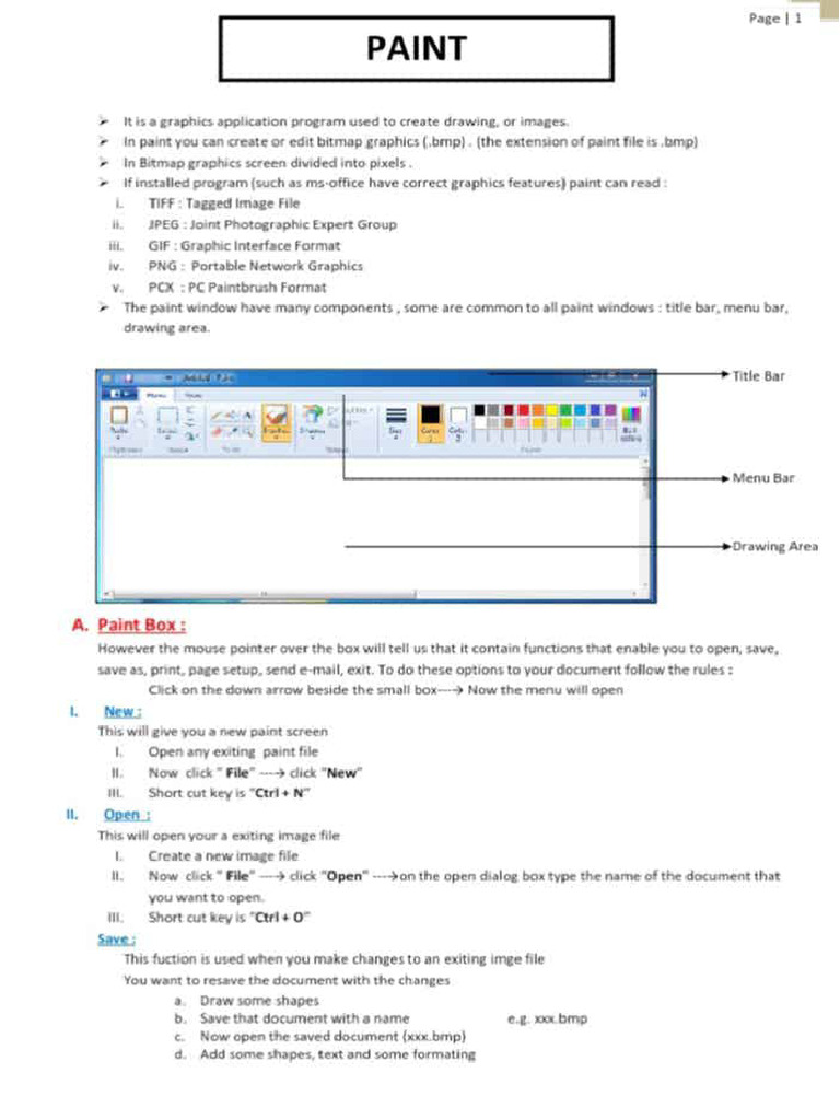 Windows MS Paint | PDF