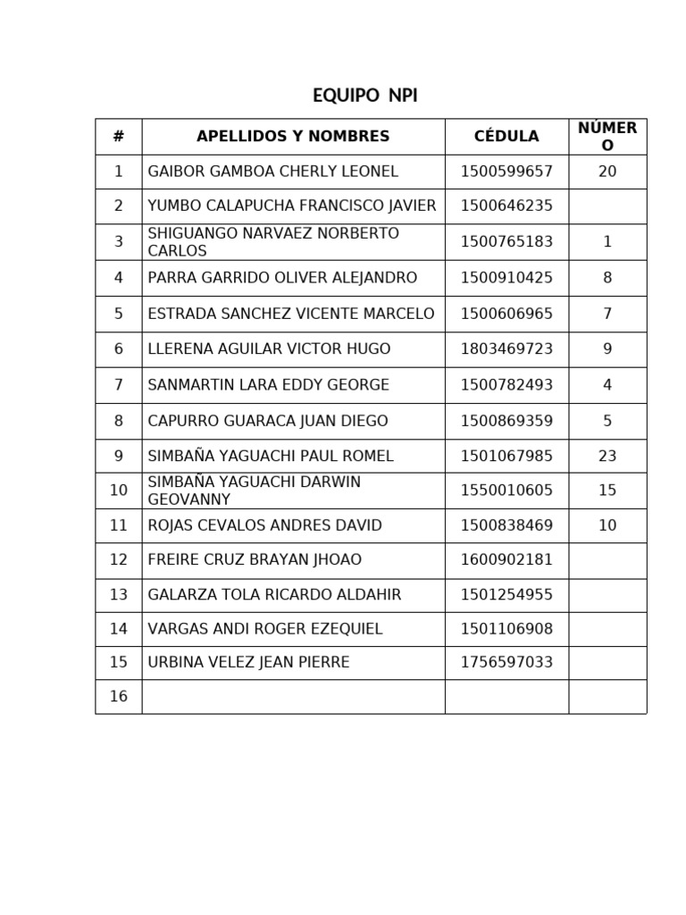 Equipo Npi | PDF