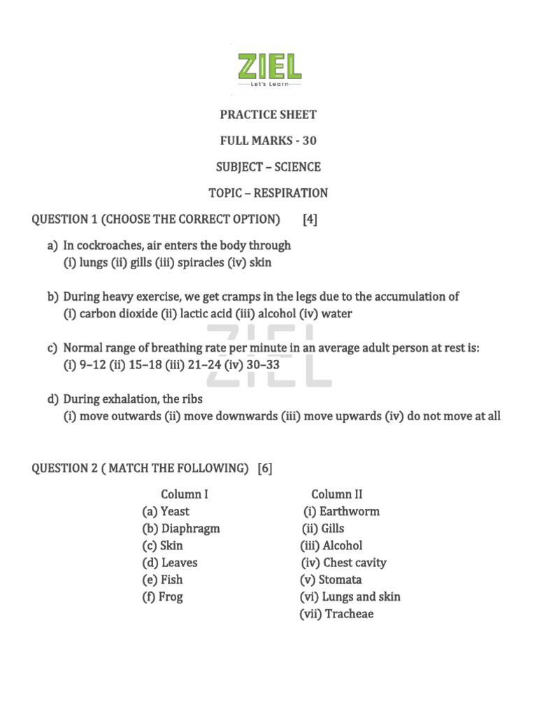 Science Practice Sheet on Respiration | PDF | Social Science