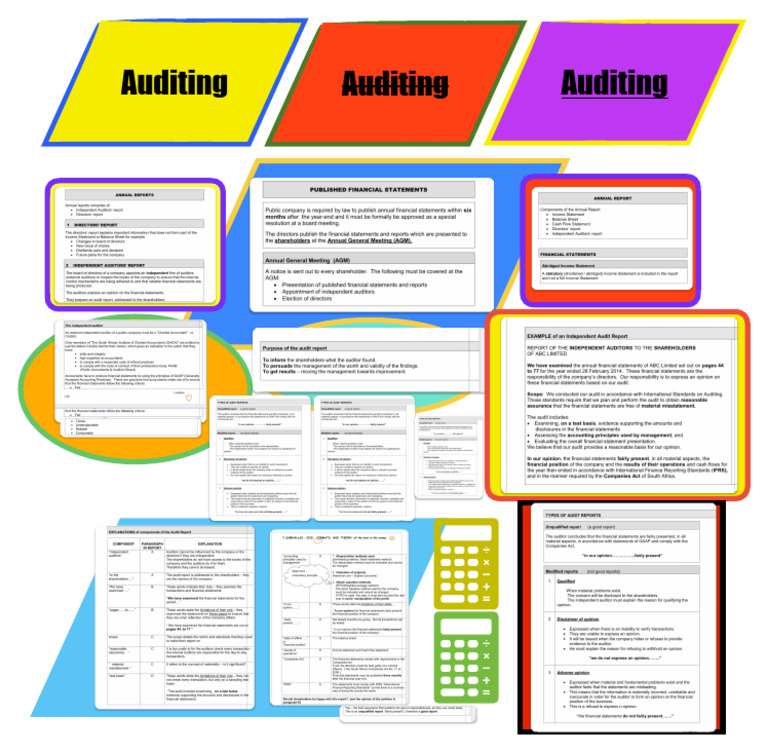 Grade 12 Theory AUDITING | PDF