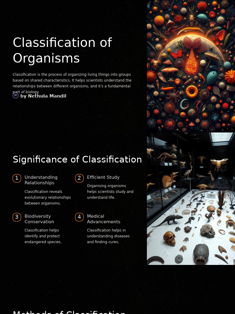 Classification-of-Organisms | PDF | Eukaryotes | Nature
