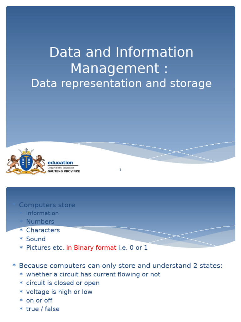 Data Representation and Storage Basics | PDF | Integer (Computer Science) | Data Type