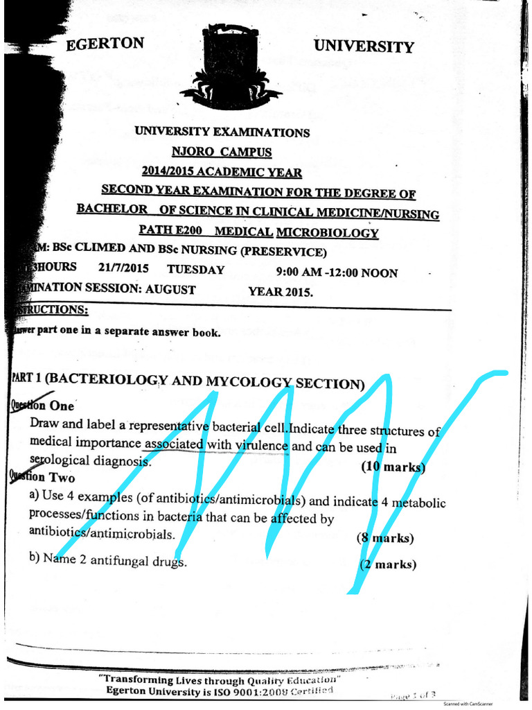 Marked Microb Combined | PDF