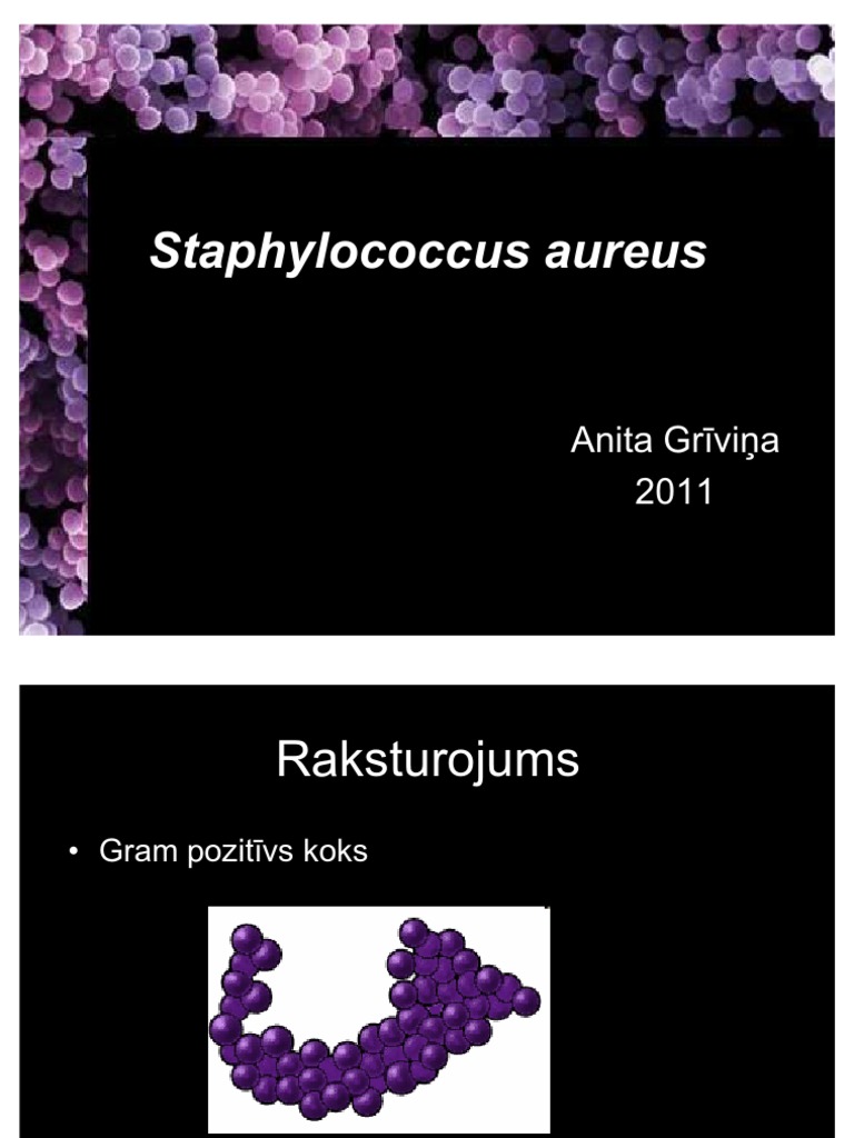 Staphylococcus Aureus | PDF
