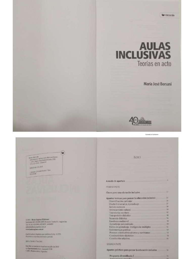 Aulas Inclusivas Teorias en Acto Borsani 3 PDF Free | PDF