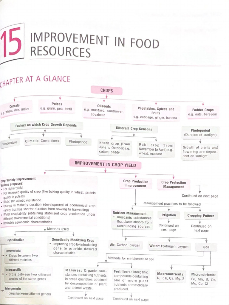 Improvement in Food Resources | PDF