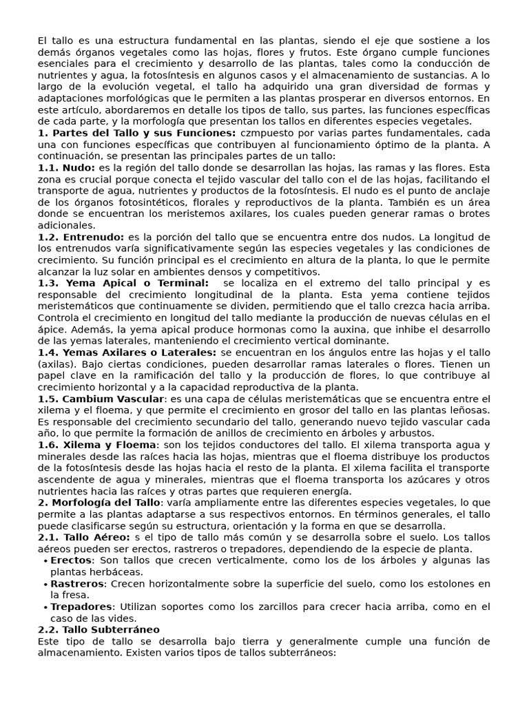 Tallo Tarea Atrasada 2024 | PDF | Tallo de la planta | Plantas