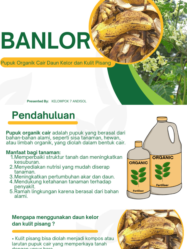 Poc Banlor | PDF