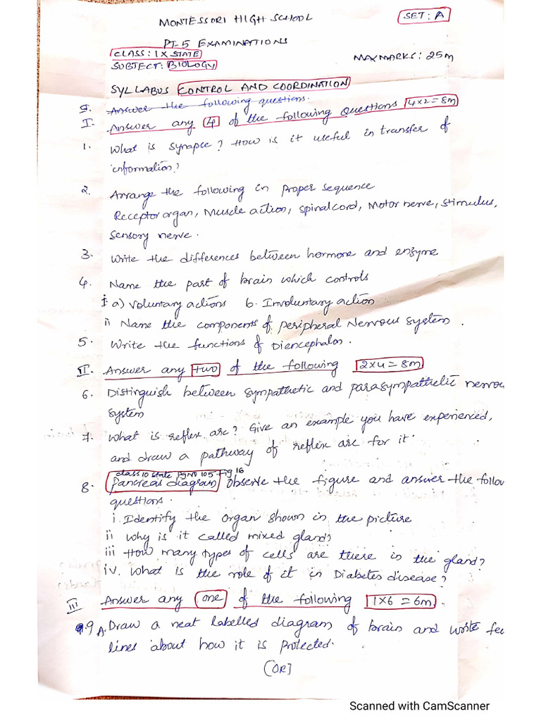 Ix State PT5 QP | PDF