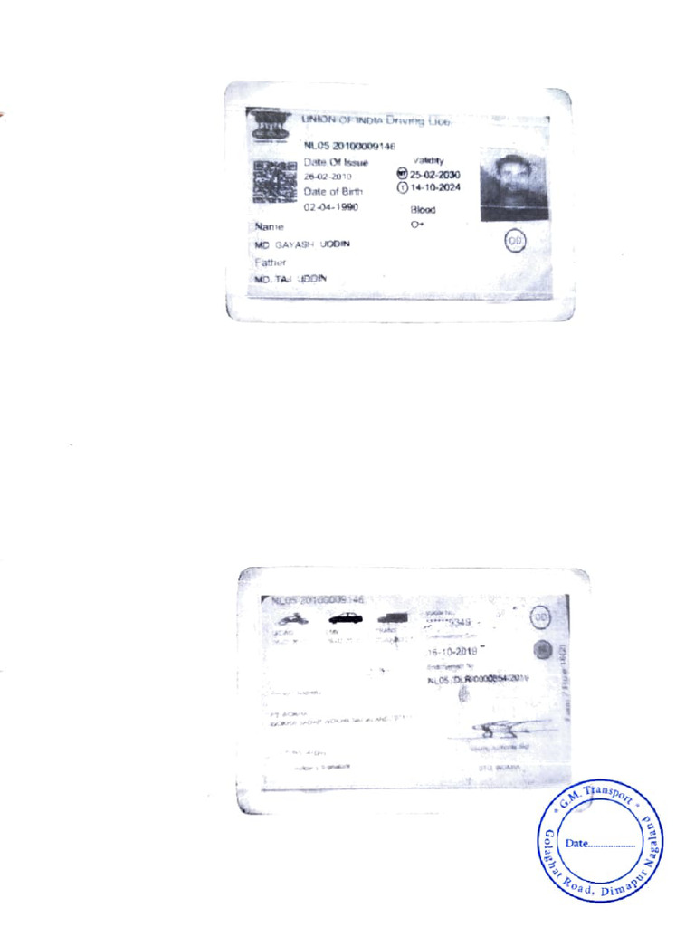 Driving licence | PDF