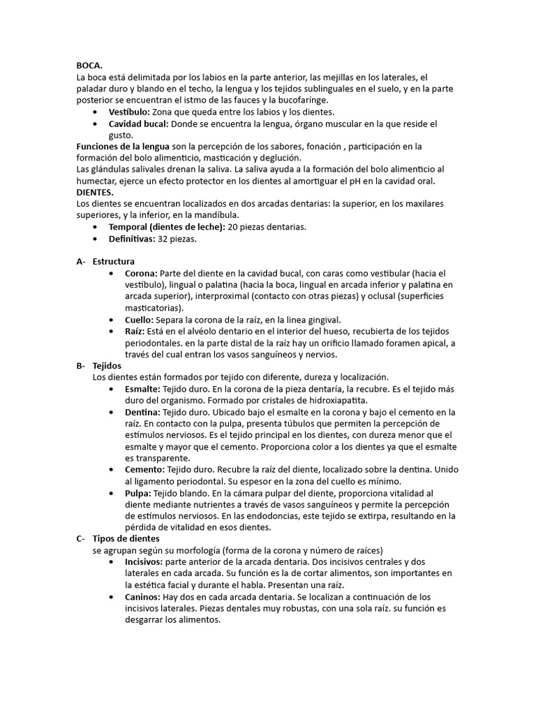 DPP Tema 7 | PDF | Diente humano | Diente