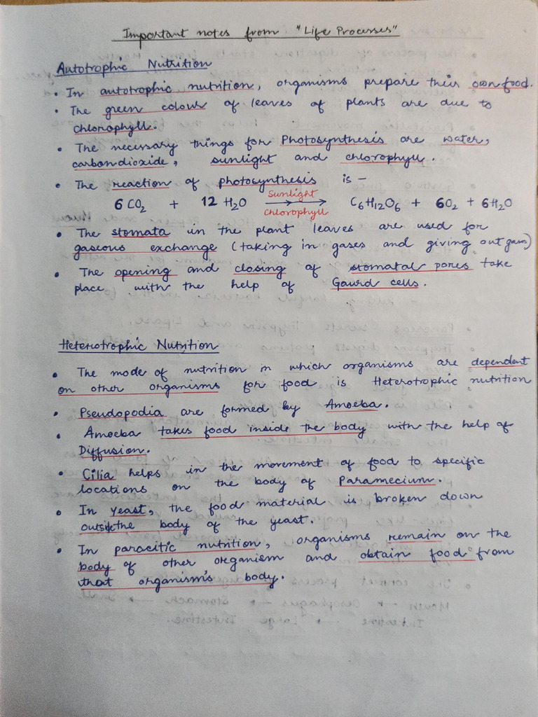 Class X Important Notes From Life Processes Pdf