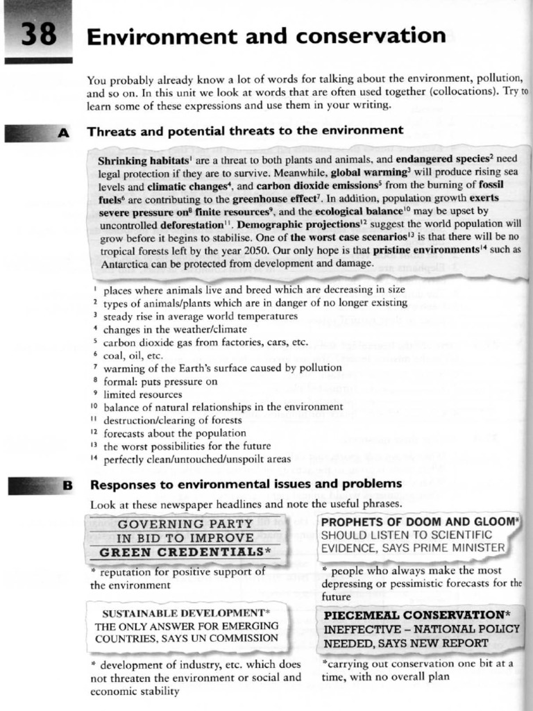 Environment and Conservation Vocab | PDF