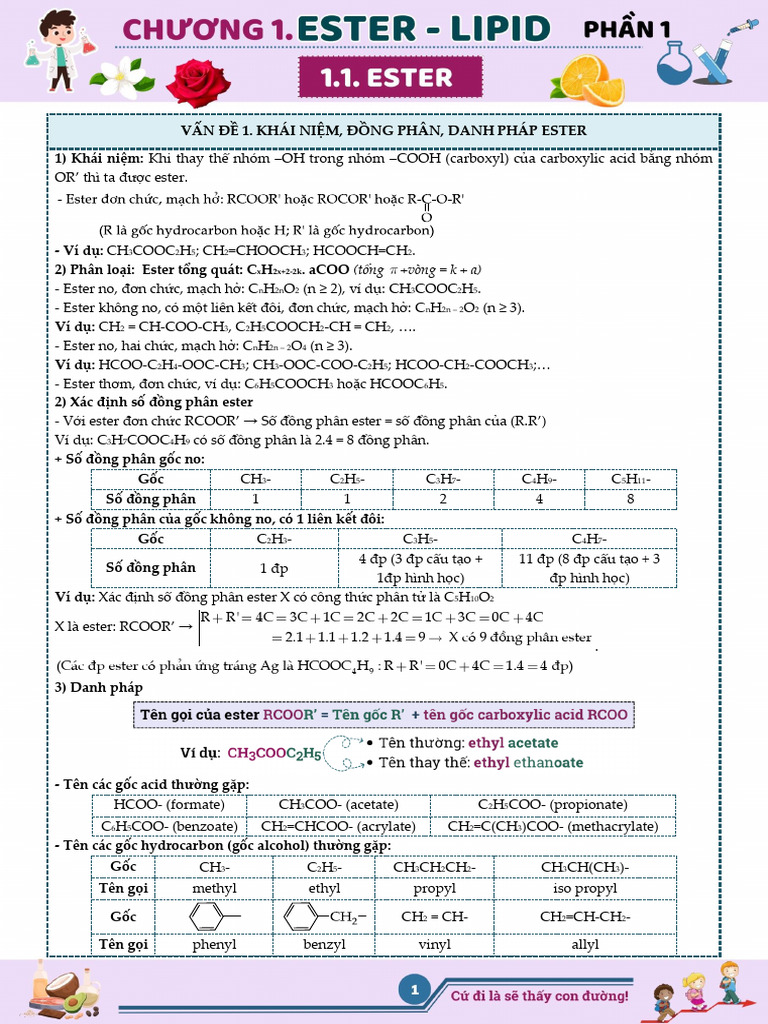 1.1. ESTER - LIPID - phần 1 - GIẢI | PDF