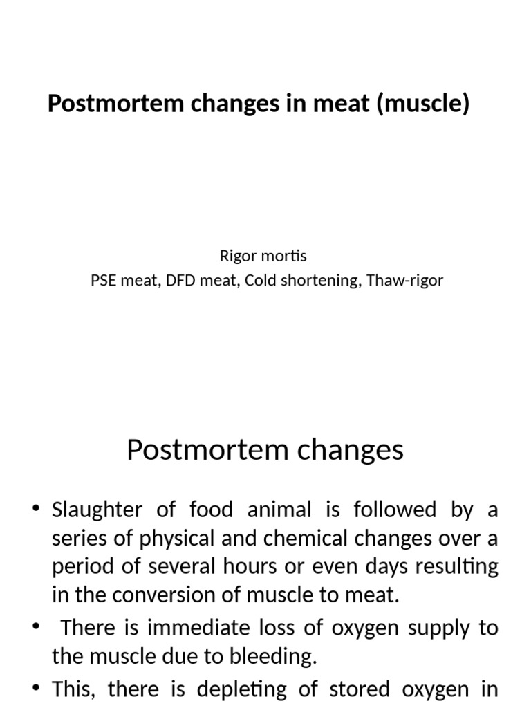 Postmortem Changes in Meat (Muscle) | PDF | Meat | Homeostasis