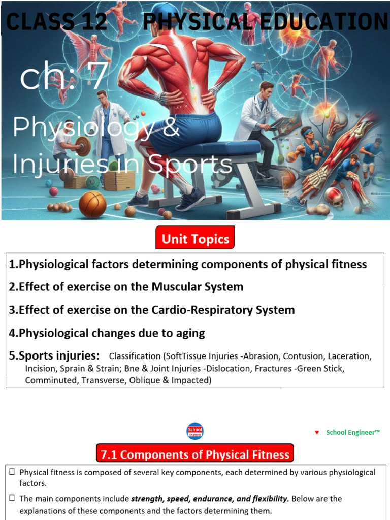 Class 12 Physical Education: Chapter 7 Notes | PDF | Skeletal Muscle ...