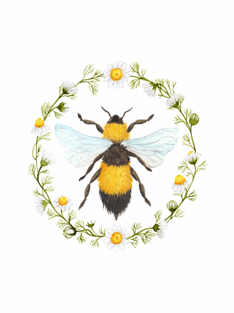 Bee Print No Background 8x10 | PDF