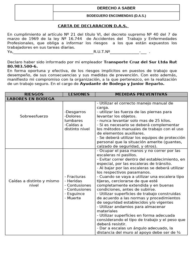 DAS - Junior Reparto - Bodeguero | PDF