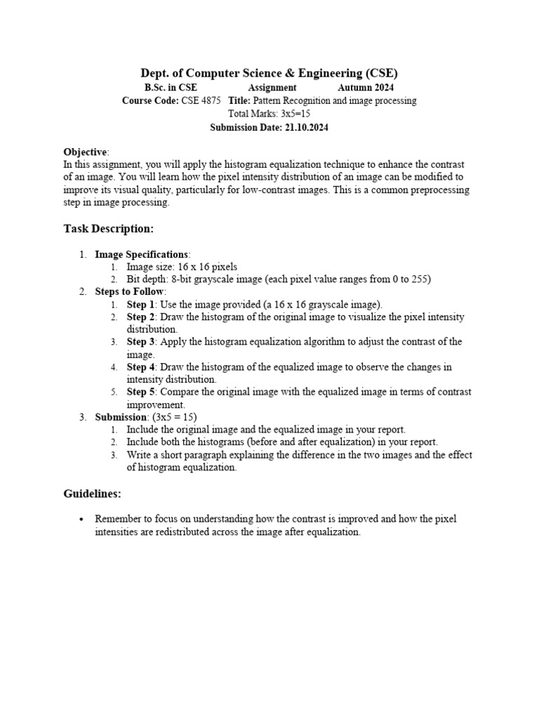 Assignment CSE 4875 Autumn 2024 | PDF | Art