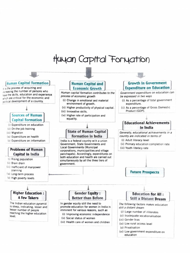 Human Capital Formation Notes | PDF | Human Capital | Capital (Economics)