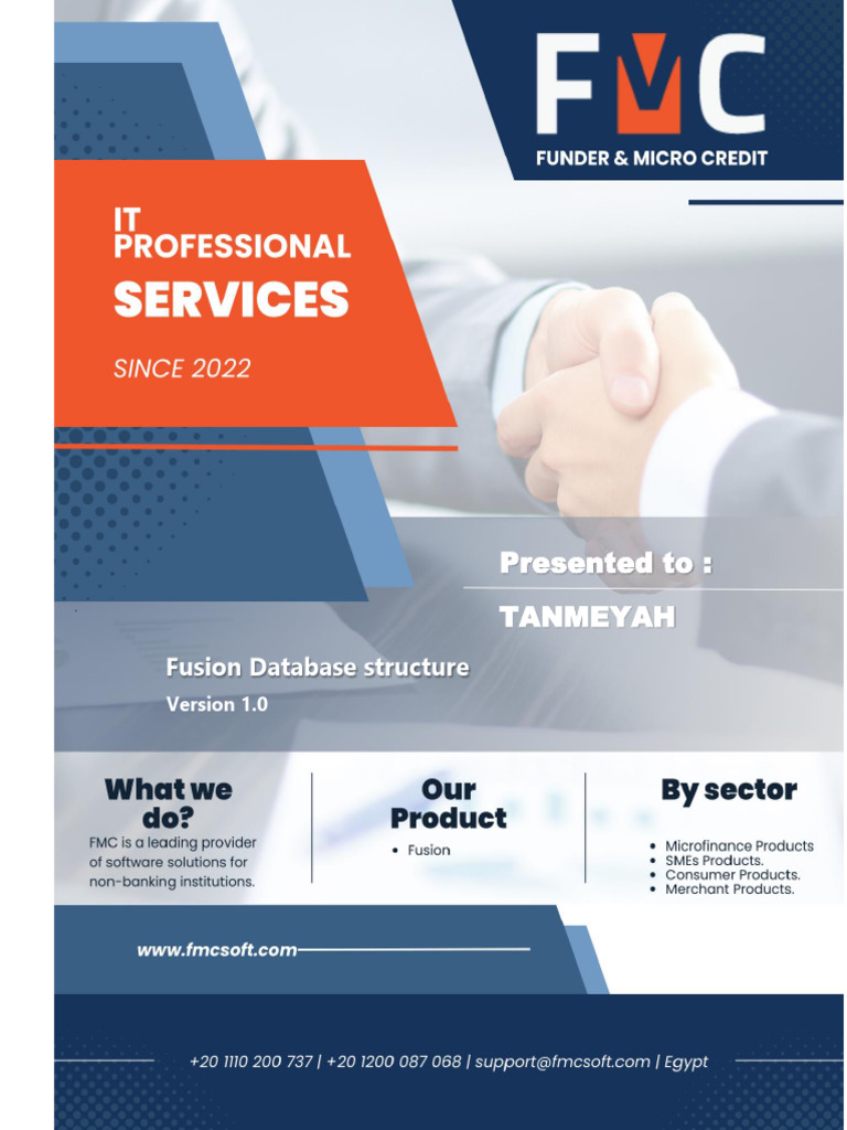 FMC Fusion Database Structure V1.1 | PDF