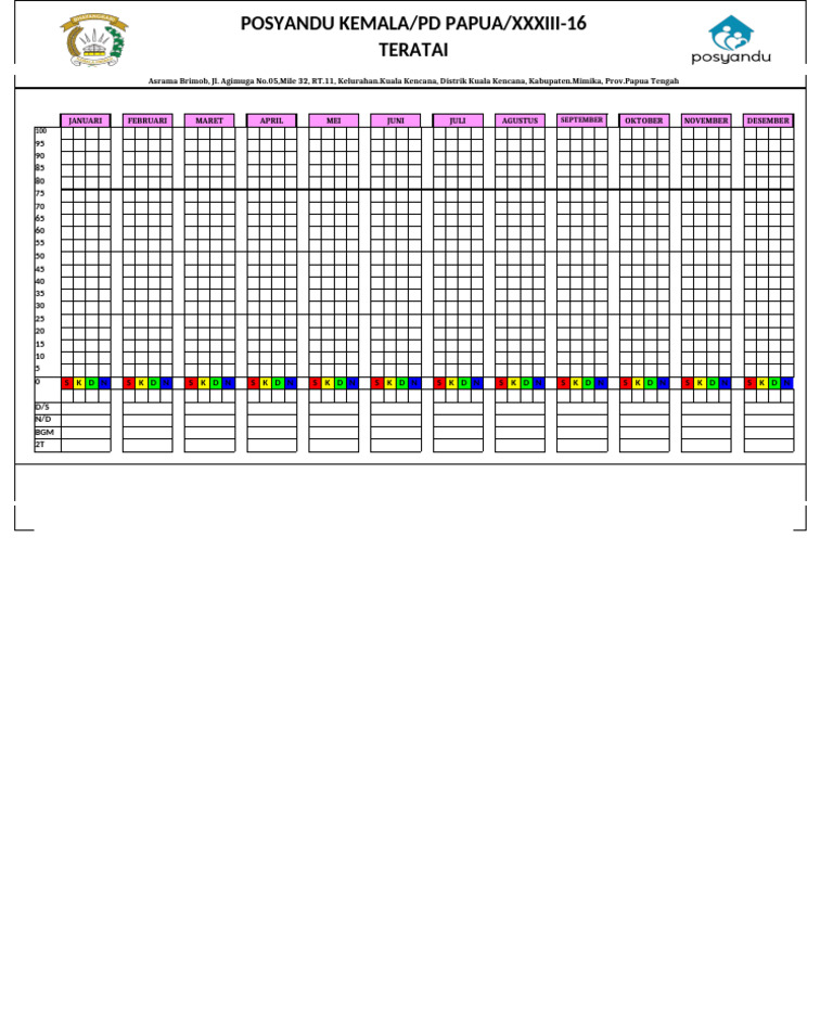 BALOK SKDN POSYANDU | PDF