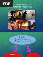 Manual de Busqueda y Rescate 2019 | PDF | Búsqueda y rescate | Toma de decisiones