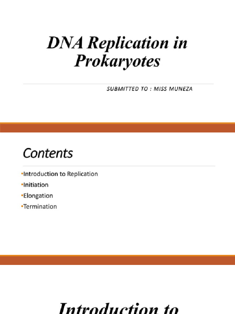 DNA replication in PRO | PDF