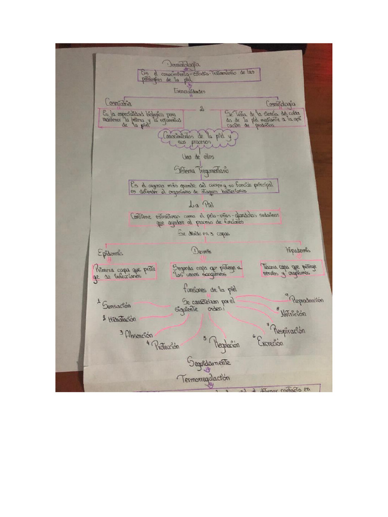 Mapa Conceptual1 | PDF
