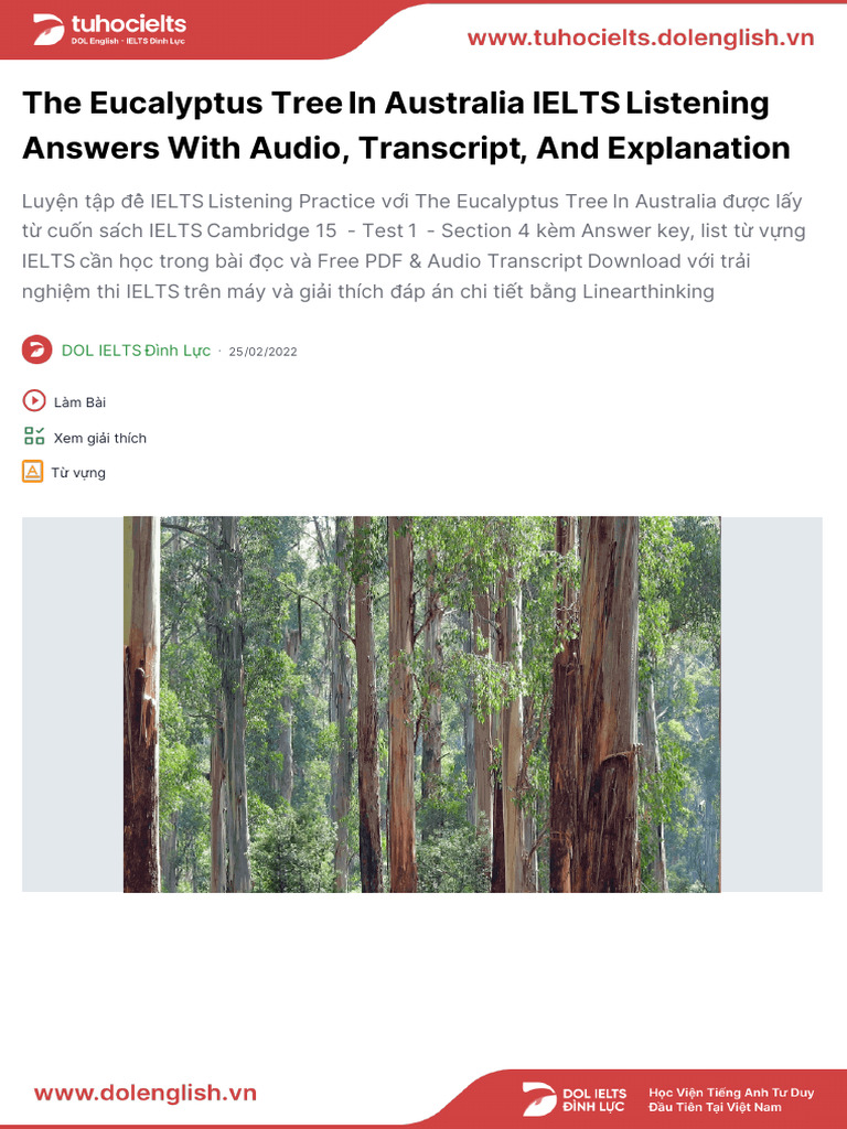 IELTS Listening: Eucalyptus Tree Insights | PDF | Trees | Eucalyptus