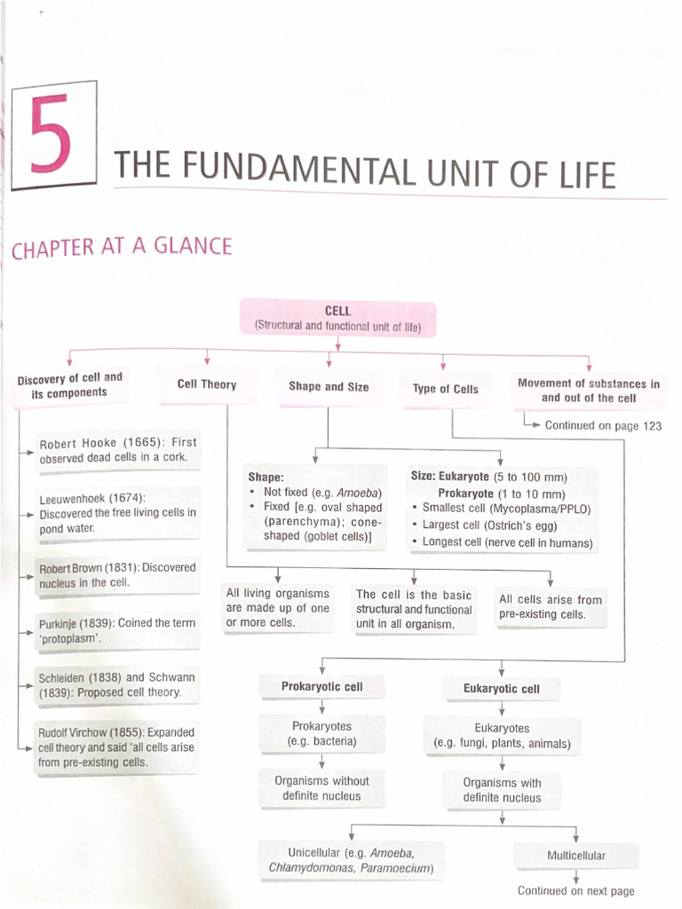 The Fundamental Unit of Life | PDF