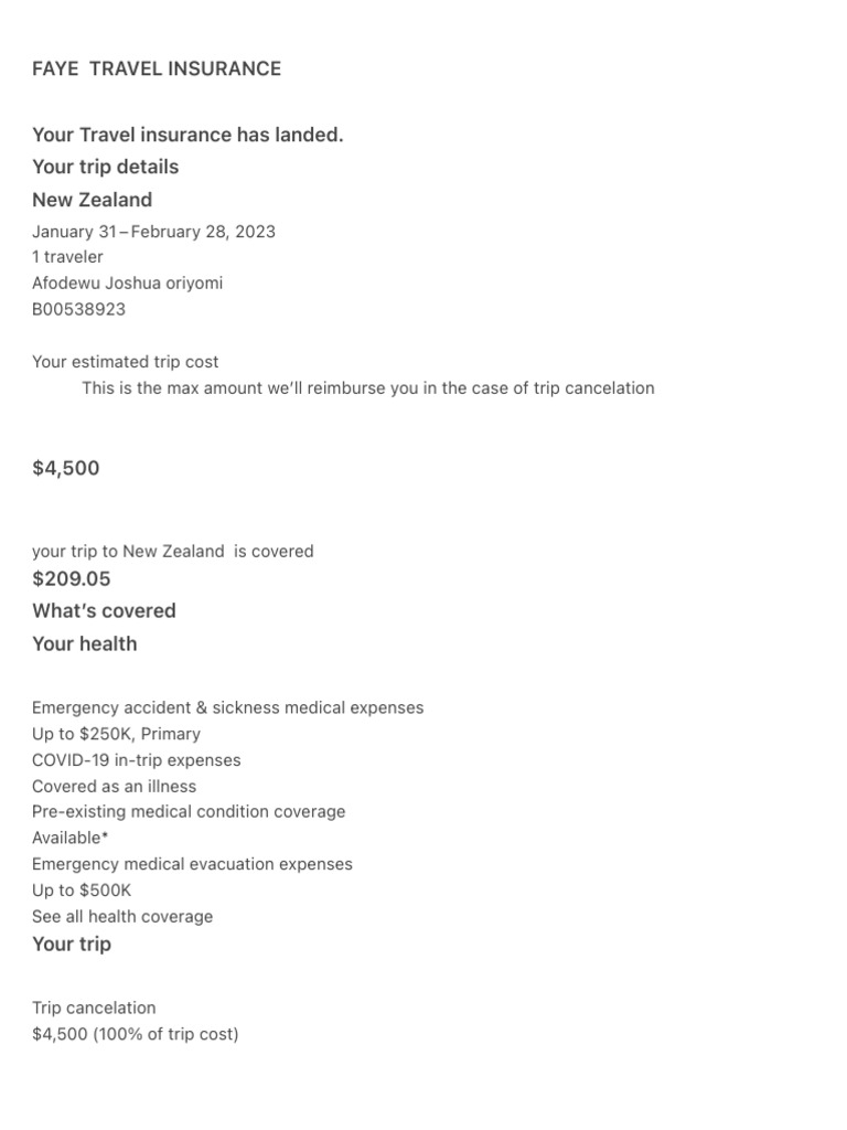Faye Travel Insurance | PDF