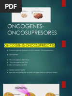 PROTOONCOGENES | PDF | Oncogen | P53
