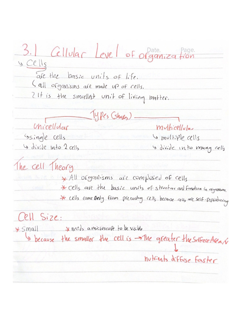 3.1 Cellular Level of Organization | PDF