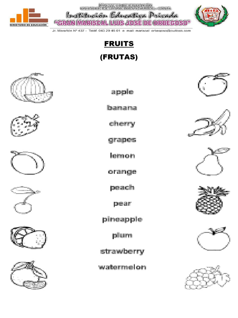 Fruits | PDF