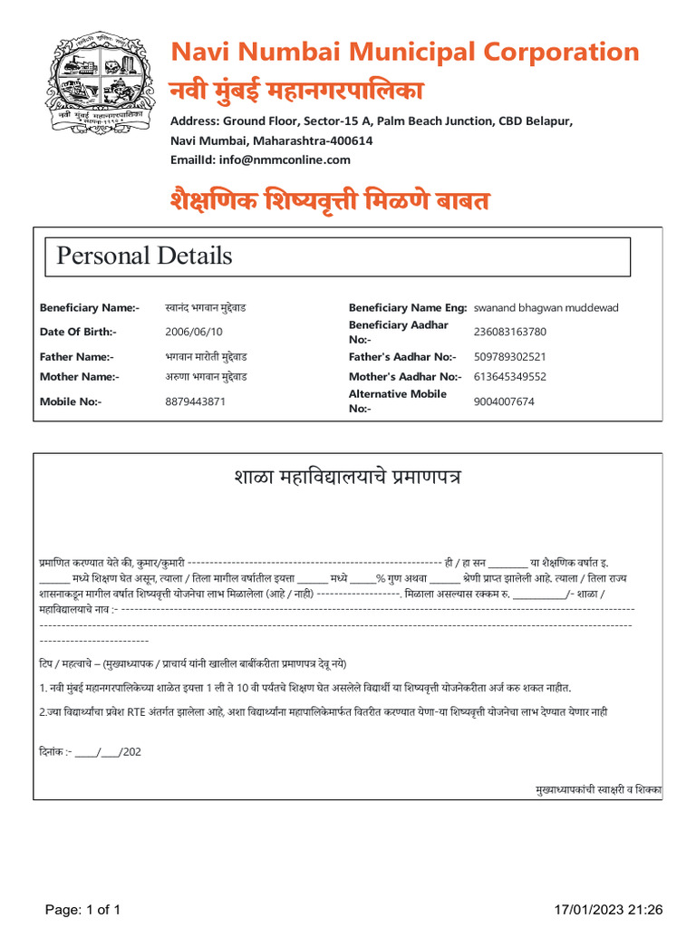 Declaration Form-33 | PDF
