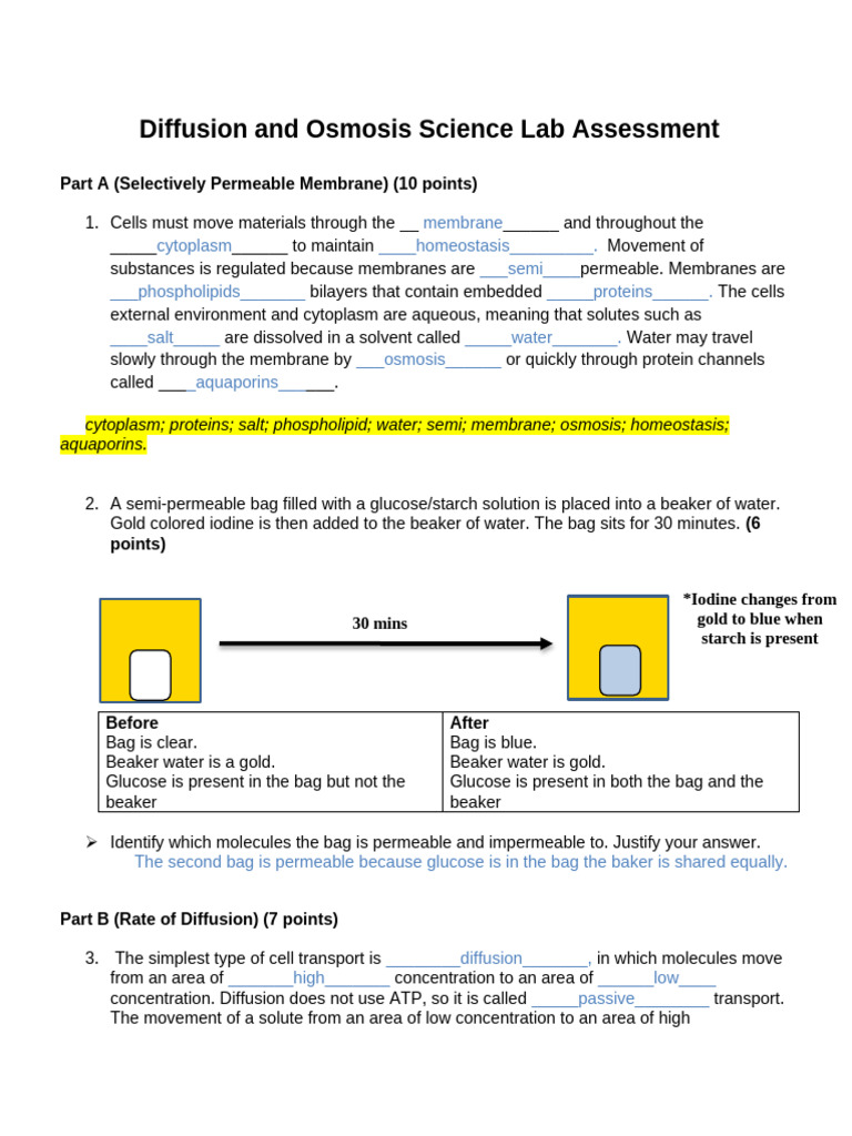 Diffusion and Osmosis Lab Assessment | PDF | Cell Membrane | Osmosis