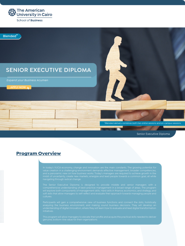 Senior Executive Diploma - Brochure | PDF | Marketing | Strategic ...