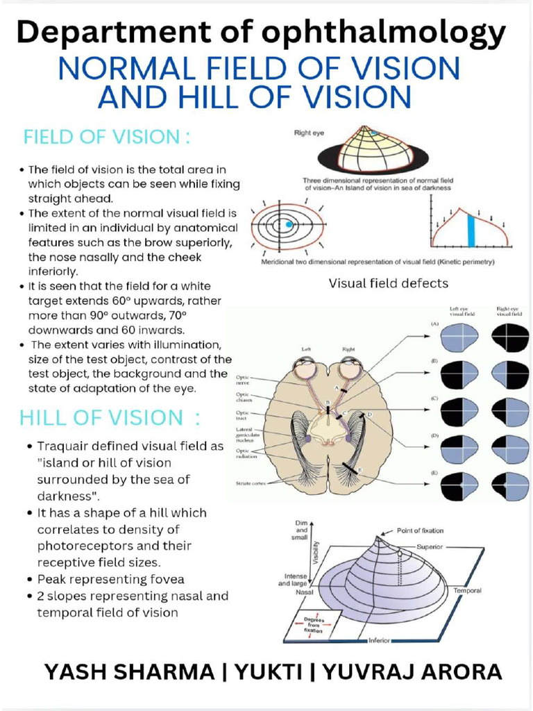 Normal Field of Vision and Hill of Vision | PDF