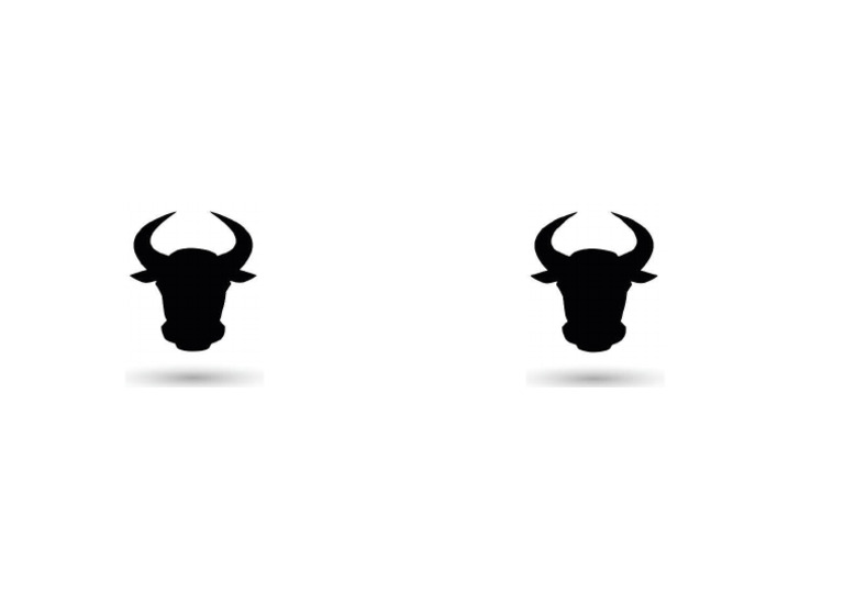 Toro 3 | PDF