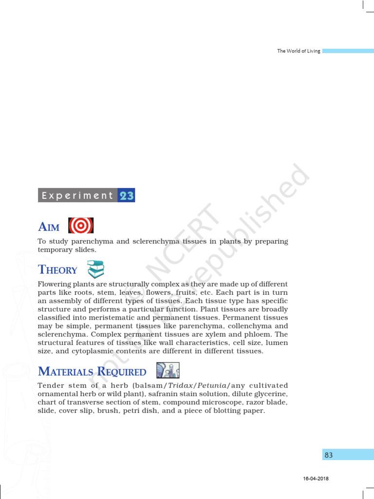 NCERT - Science - Lab - Manual - IX - Expt - 23 | PDF | Tissue (Biology ...