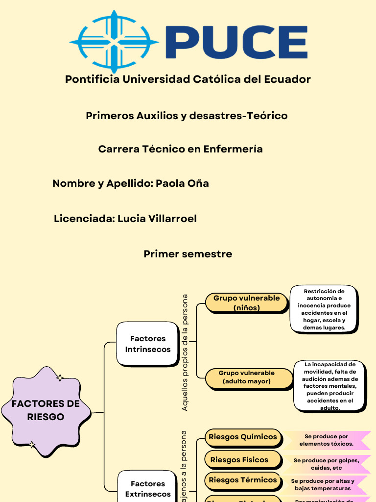 Mapa Conceptual de Factores de Riesgo Intrínsecos y Extrínsecos | PDF | Salud pública | Medicina