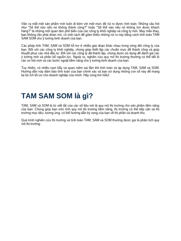 Hướng dẫn Tính TAM SAM SOM | PDF