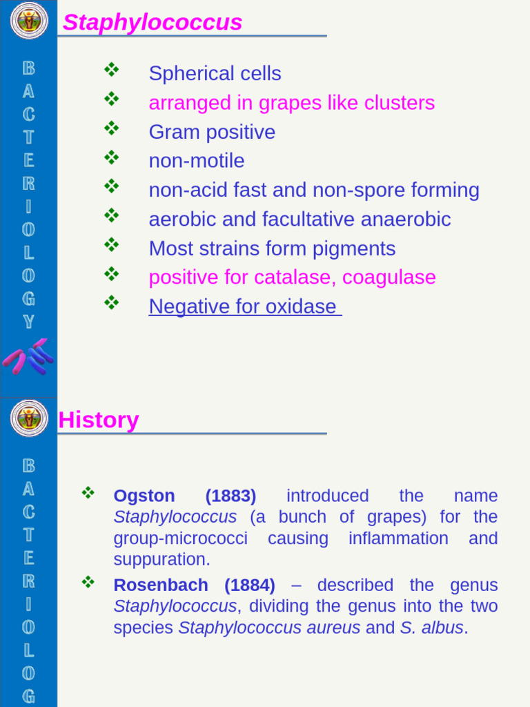 Staphylococcus | PDF | Staphylococcus | Staphylococcus Aureus