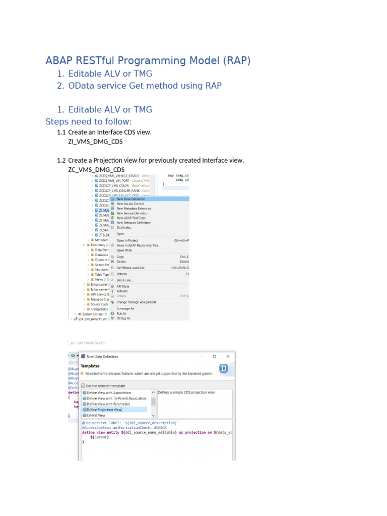 Odata or Editable ALV or TMG Using RAP | PDF | Computers
