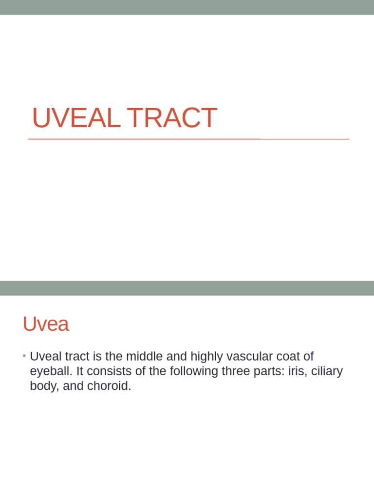 Anatomy of the Uveal Tract | PDF | Eye | Human Anatomy